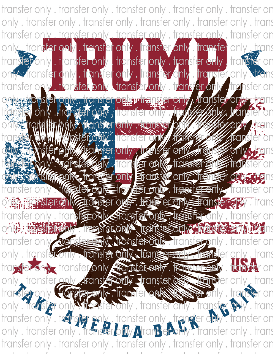 Trump Take America Back Again - Waterslide, Sublimation Transfers ...